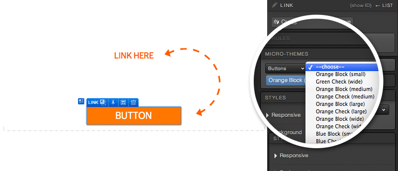 What is an Ion Theme – Ion Academy by Ion Interactive