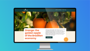 How to use the Grid Series Infographic Template – Ion Academy by Ion ...