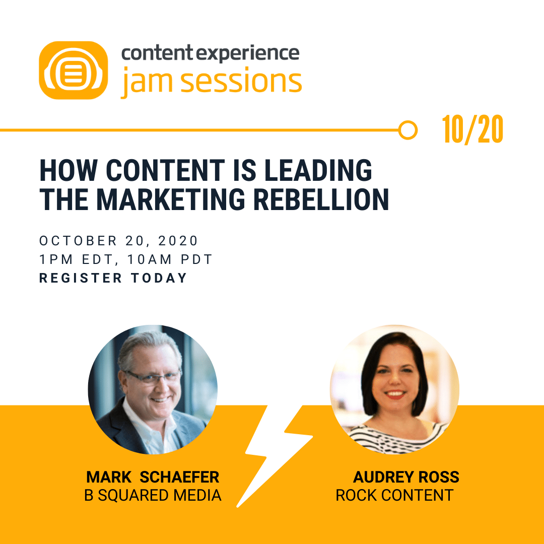 How content is leading the marketing rebellion with Mark Schaefer - Ion Interactive